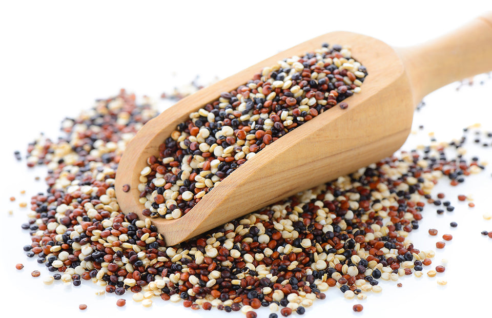 Quinoa Bulk: 6 Reasons to Stock the Versatile Superfood | Granary Mart