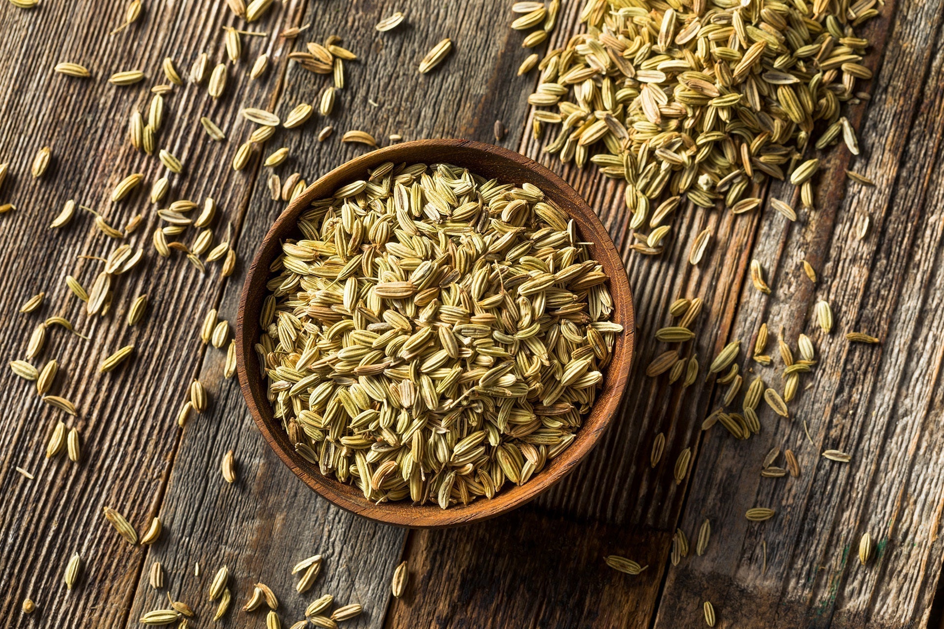 Buy Fennel Seeds in Bulk | Granary Mart